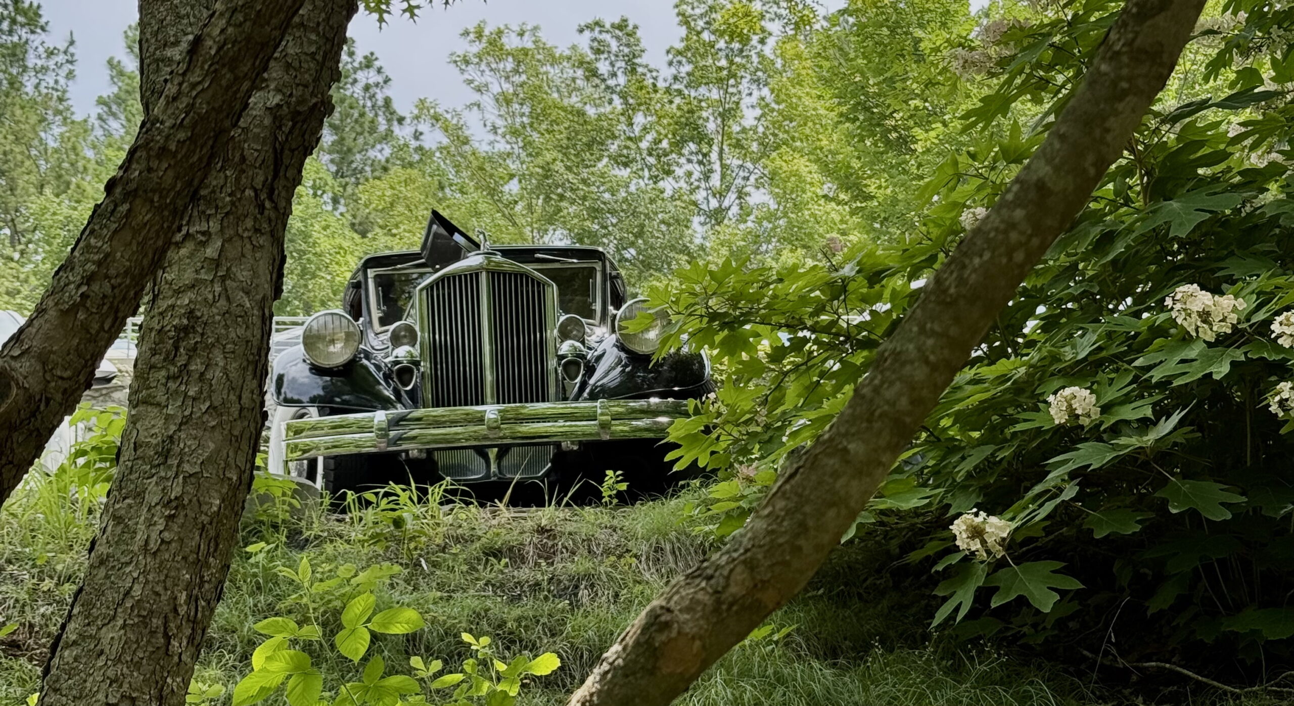 Editing Categories and Location Import/Export | Store Locator Plus®